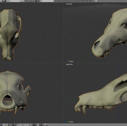 Dog Skull 3d model