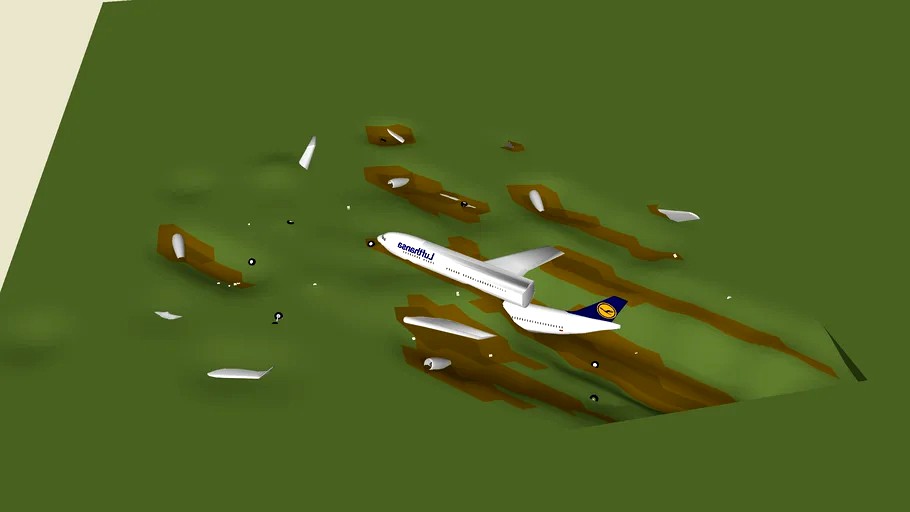 Plane Crash 3d model