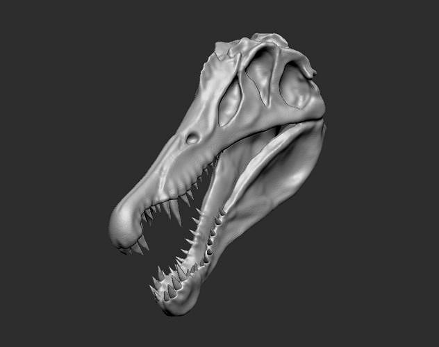 Skull spinosaurus 3d model