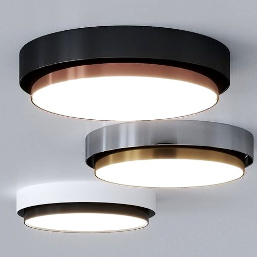 Bs living RING LED opal glass ceiling light with dimmer 3d model