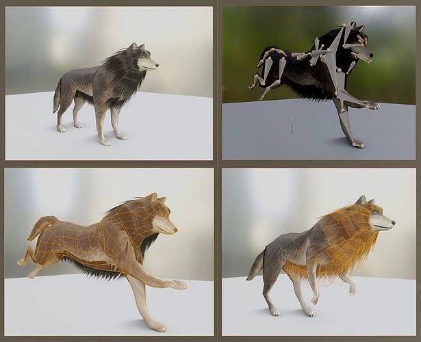 Wolf Rigged Low-poly and Game-Ready Blender-29 Version 3d model
