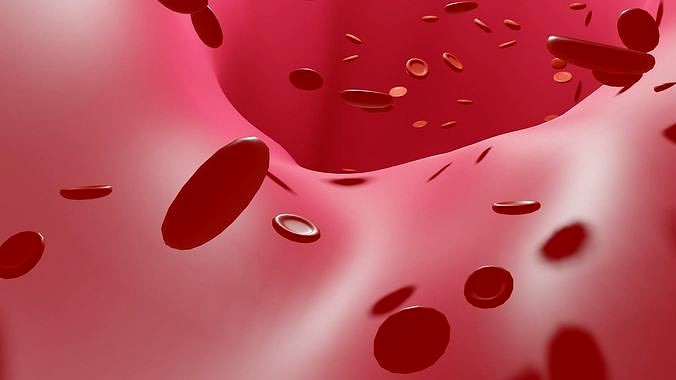 blood cells animated 3D model