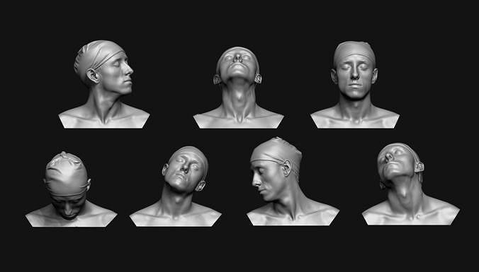 Neck Anatomy Reference Set | 3D model