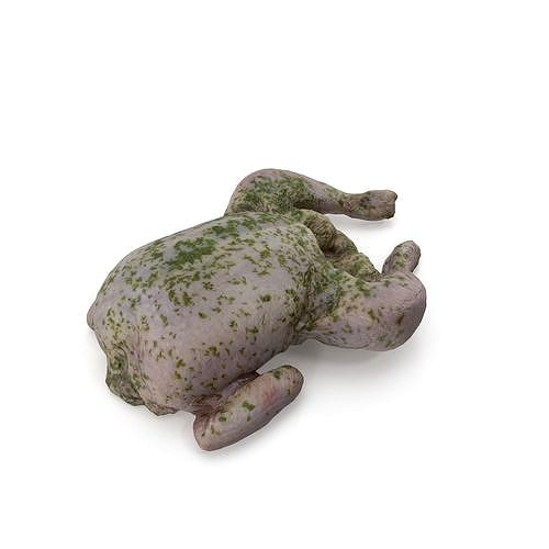 Raw Chicken seasoned with sage - 4K textures 3d model