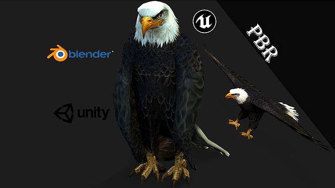 Eagle 3D model for unity 3D Blender and Maya