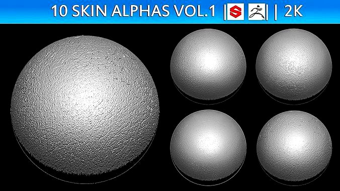 ZBrush Skin Alphas 3d model
