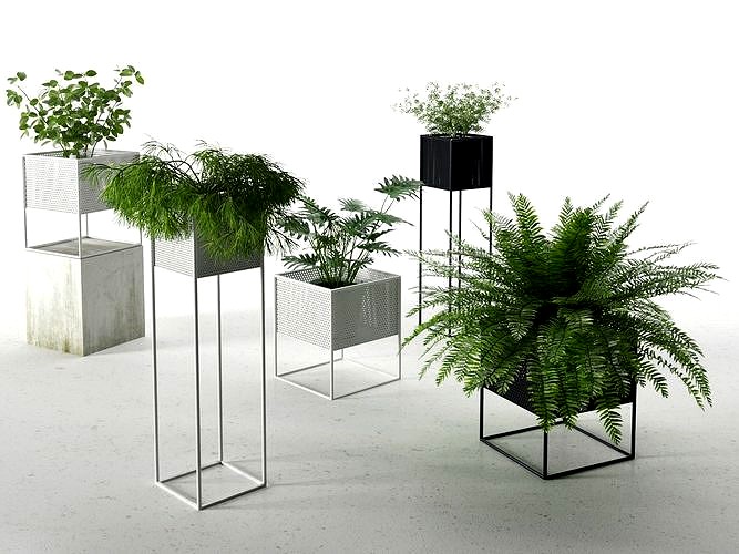 Perforated Box Planters with Plants 3d model
