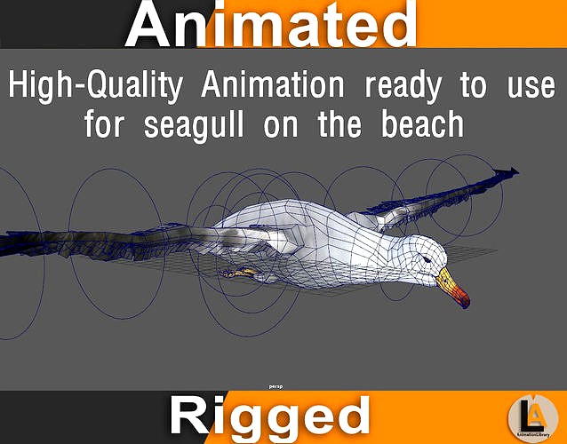Seagull Animation 3d model
