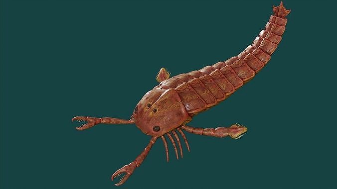 Jaekelopterus Rhenaniae The Giant Sea Scorpion