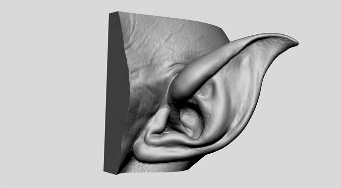 Goblin Ear | 3D model
