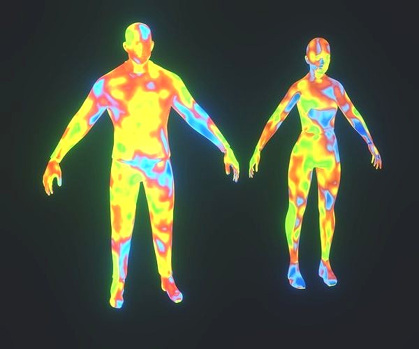 Human Thermal Image Heatmap Male and Female 3D Model