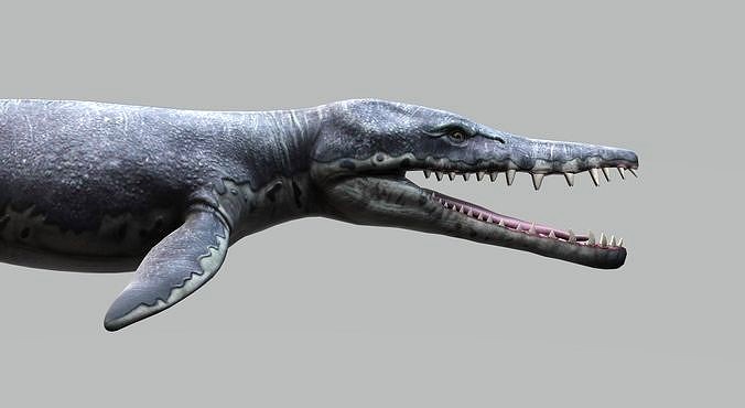 Kronosaurus with Animation 3d model