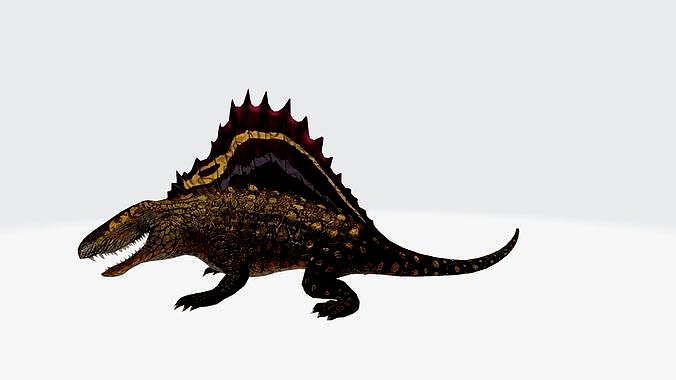 Dimetrodon with Animation 3d model
