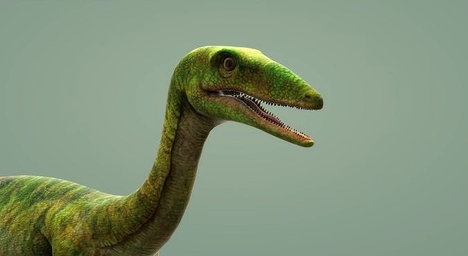 Compsognathus with Animation 3d model