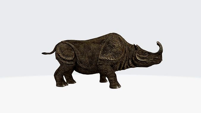 Brontotheriidae with Animation 3d model