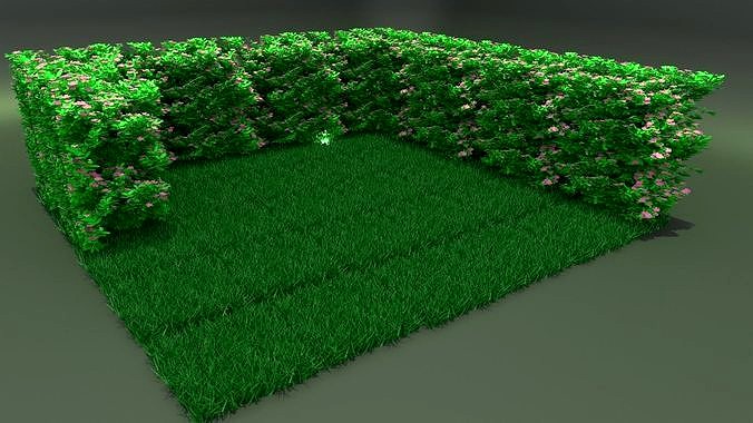 Hedge and Grass 3D model