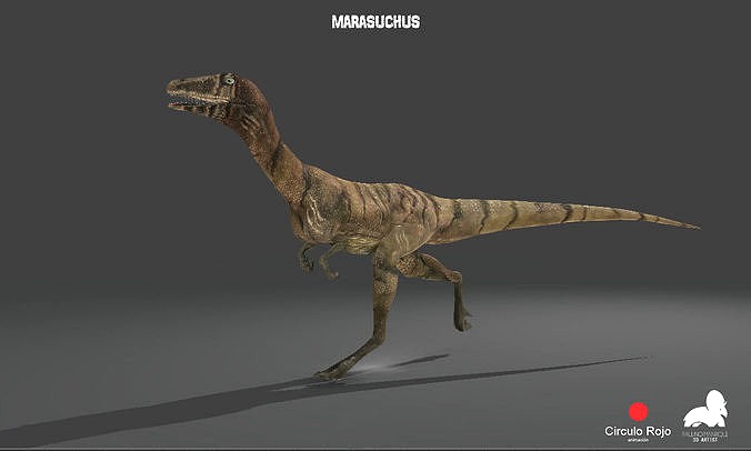 MARASUCHUS 3D MODEL 7 ANIMATIONS