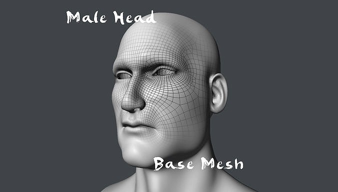 Male Head Base Mesh 3d model