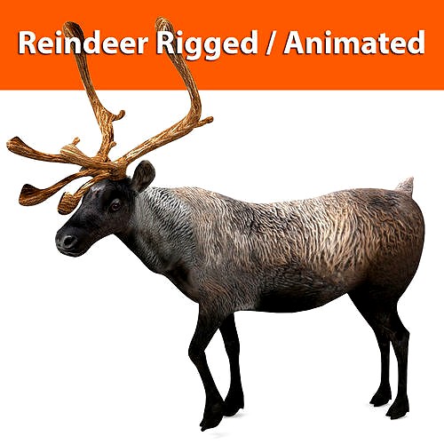 Reindeer Rigged Animated model 3D