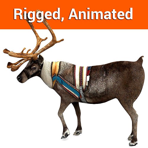 Reindeer rigged animated 3D model