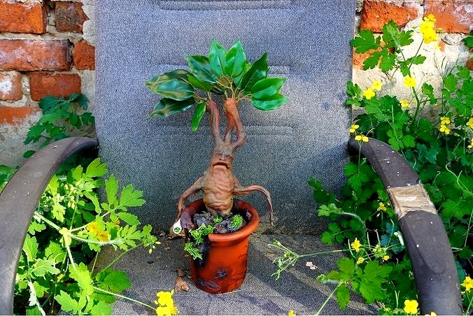 mandrake root plants from the Harry Potter movie | 3D model