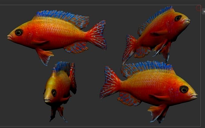 fish 3d free model