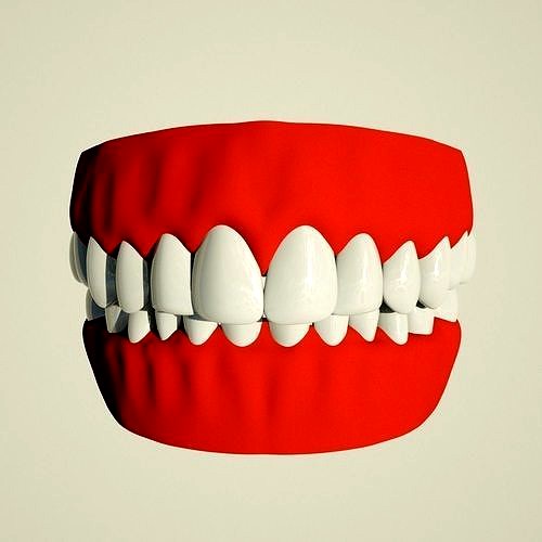 Teeth and Mouth High poly and Low poly 3d model