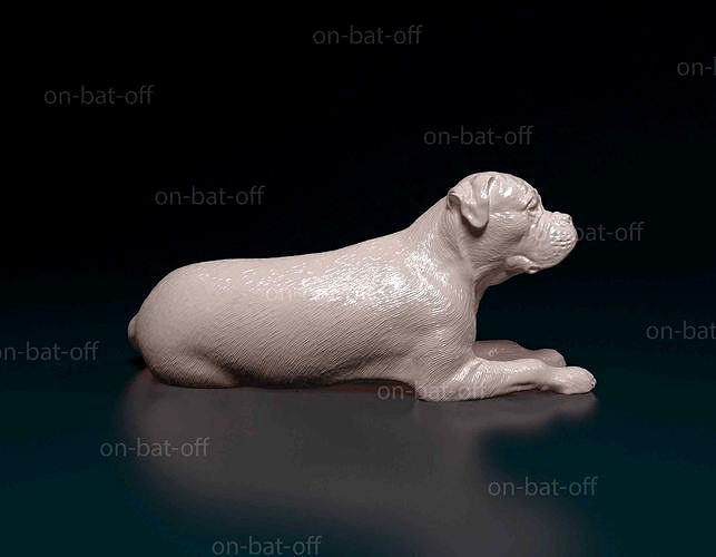 American bulldog | 3D model