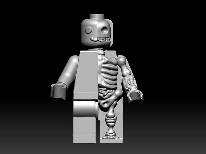 Minifigure Anatomy Look 3d model