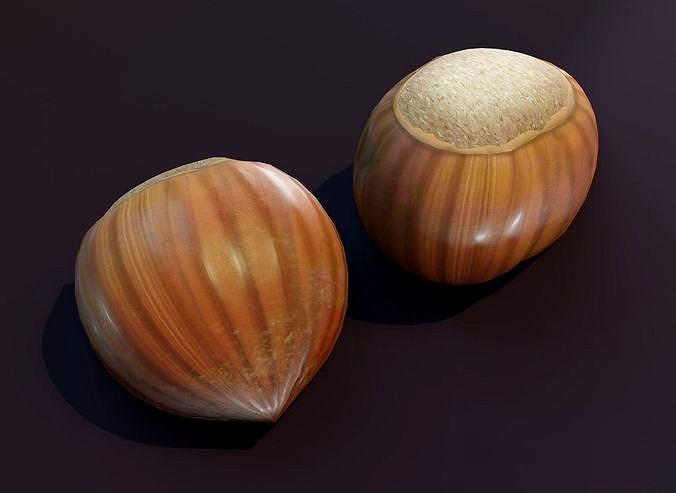 Cartoon Hazelnut 3D Model