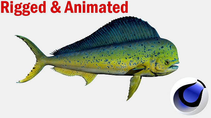 Mahi Fish Rigged and Animated 3d model