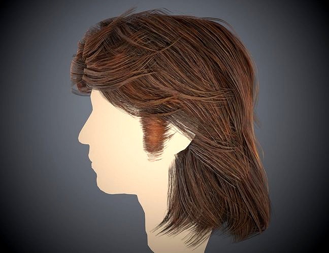 Male Mullet Hairstyle 3d model
