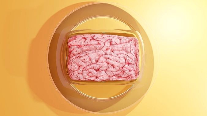 Raw Meat-low poly 3D model