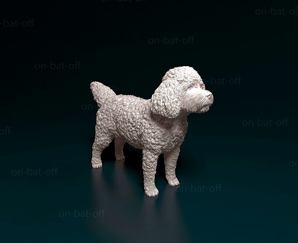 Cockapoo | 3D model