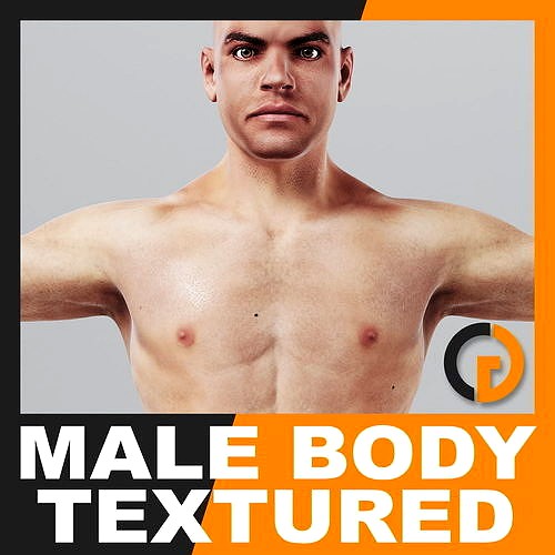Human Male Body Textured - Anatomy 3d model