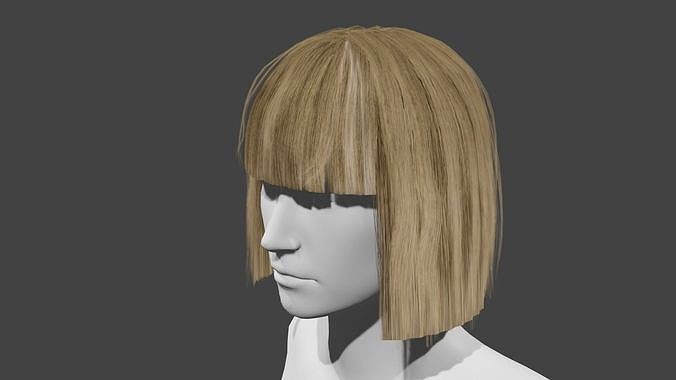 Female Hair 3d model