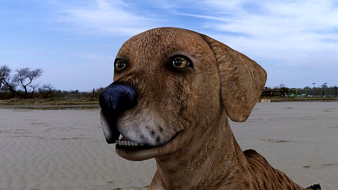 FLAB-048 Animated Dog 3d model