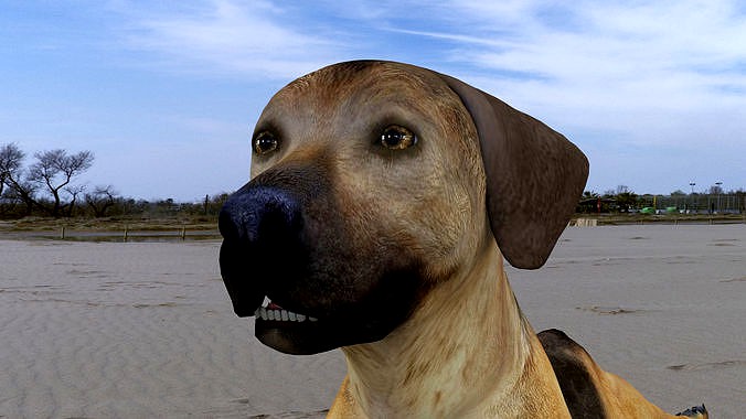 FLAB-036 Animated Dog 3d model
