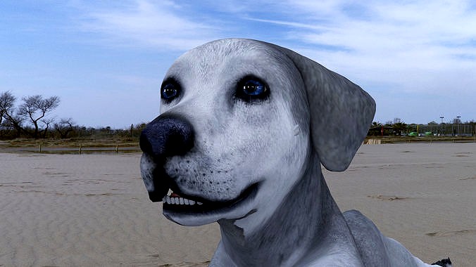 FLAB-035 Animated Dog 3d model