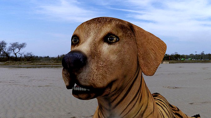 FLAB-033 Animated Dog 3d model