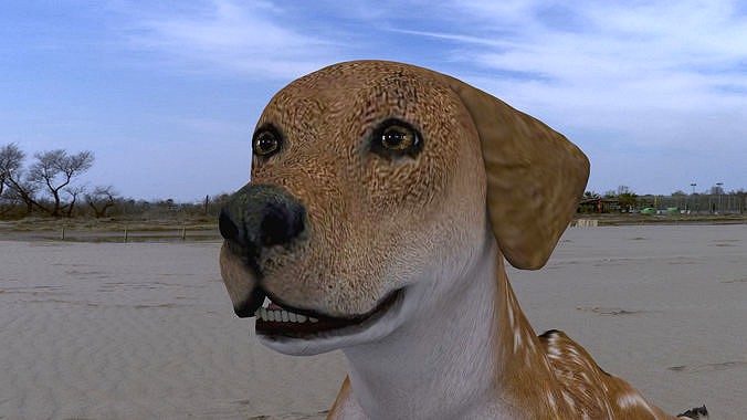 FLAB-025 Animated Dog 3d model