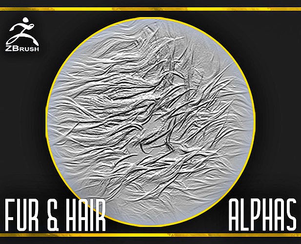 Fur and Hair Alphas for ZBrush 3d model
