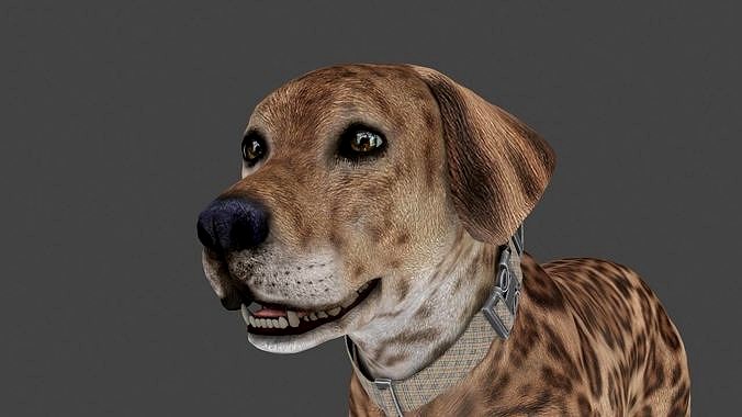 FLAB-017 Animated Dog 3d model