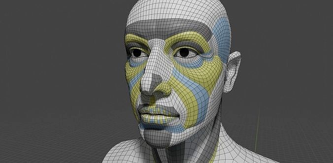 Generic head with anatomically based-topology 3d model