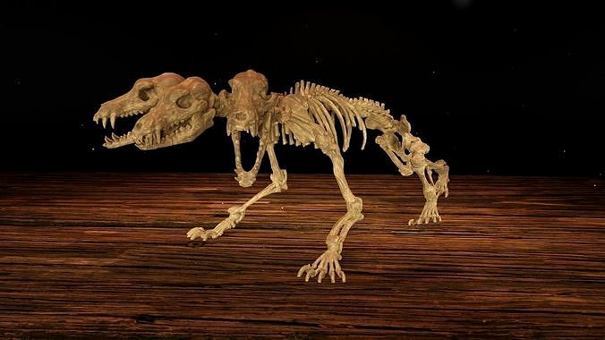 Cerberus Skeleton | 3D model