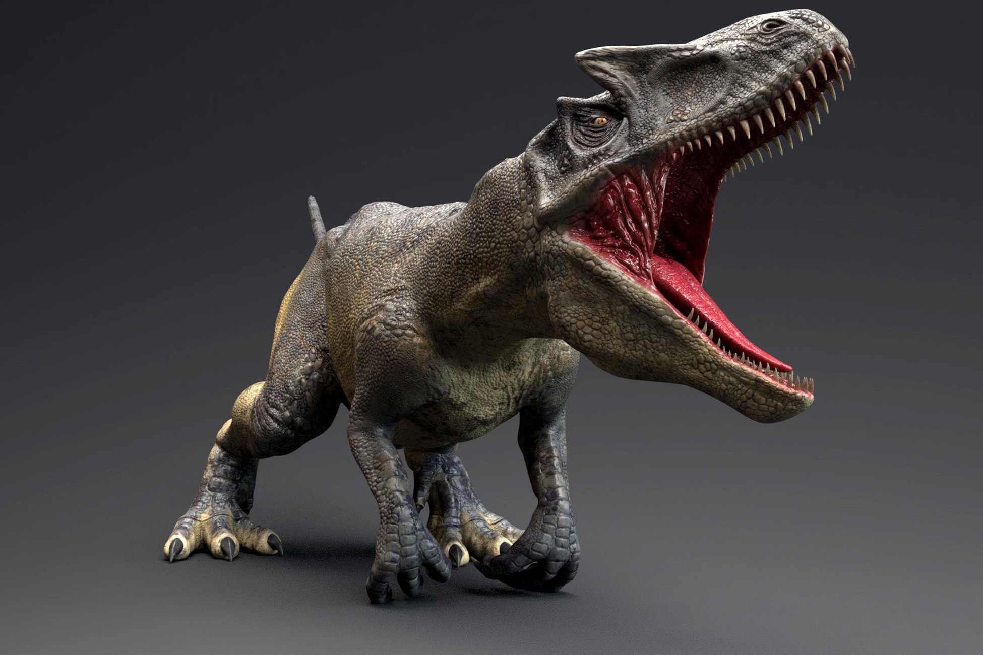 Allosaurus Real Dinosaur 74 Animations 3d model