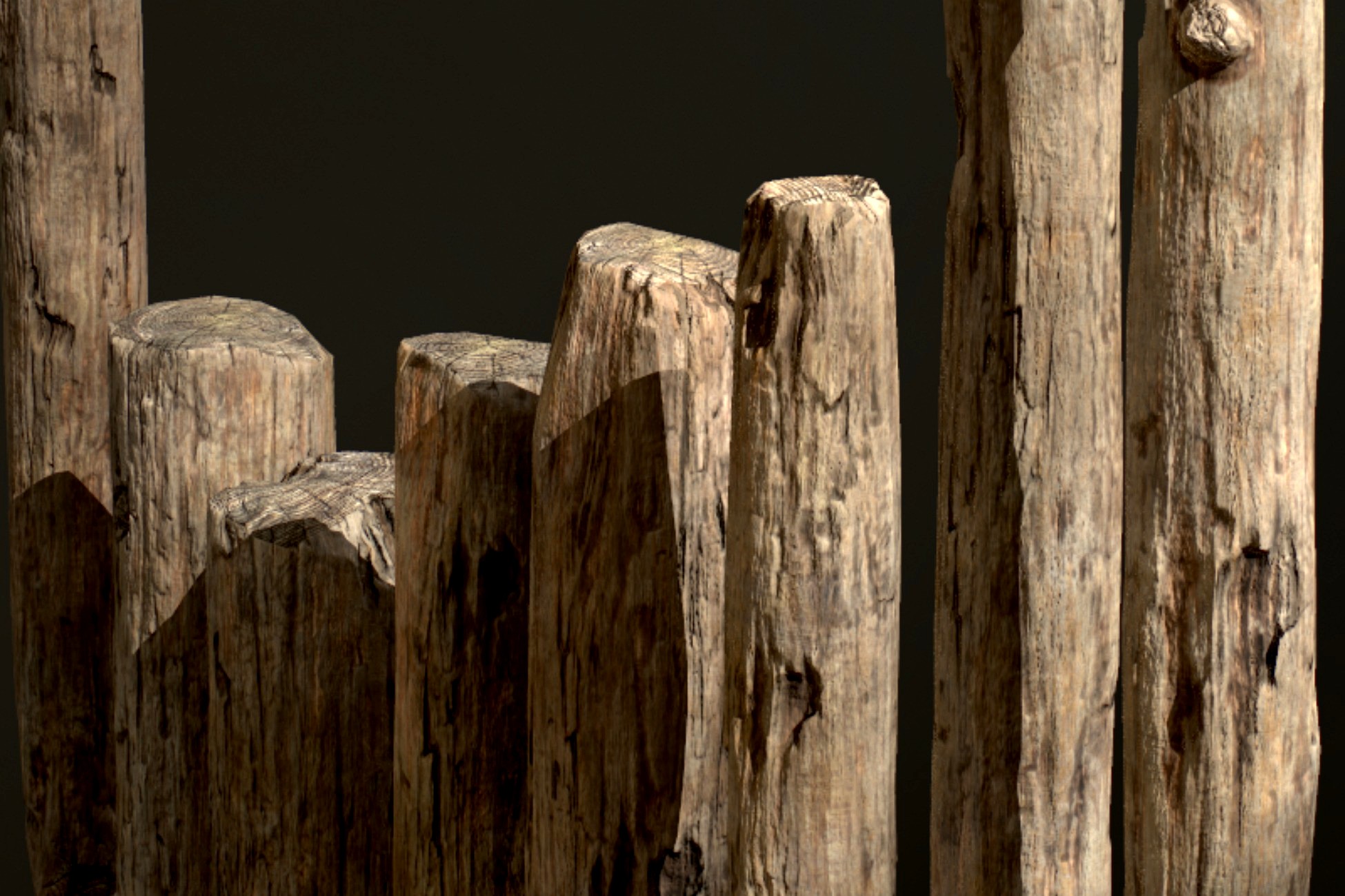 Wooden Poles 3d model