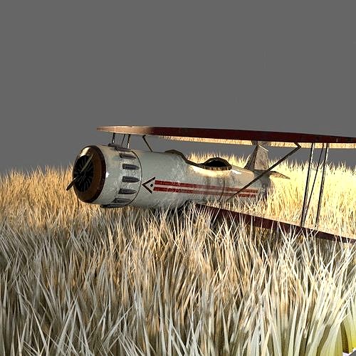 CRASH AIRPLANE 3d model