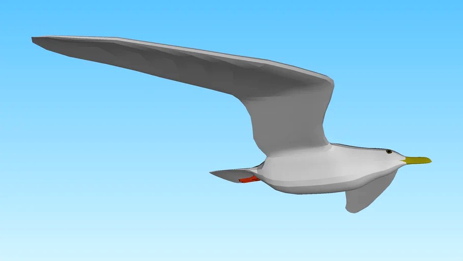 Seagull 3d model