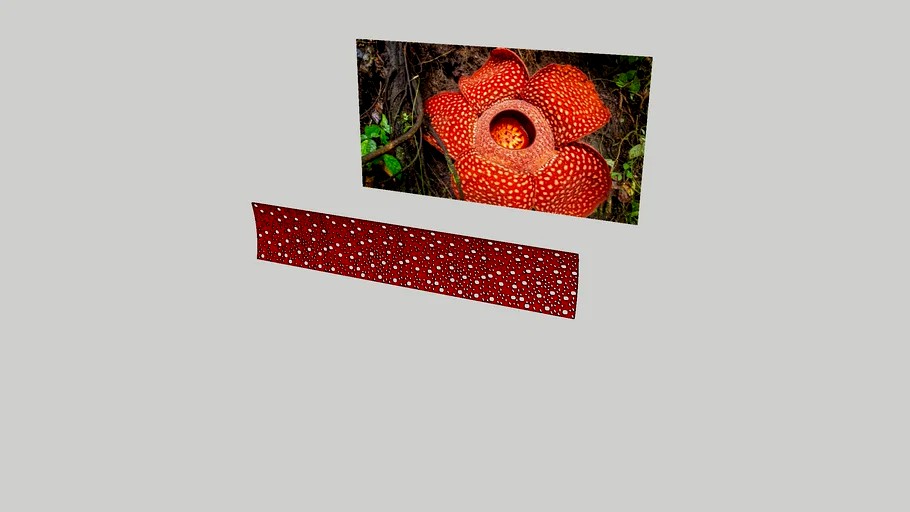 RAFFLESIA FACADE / FASAD KONSEP BUNGARAFLESIA 3d model